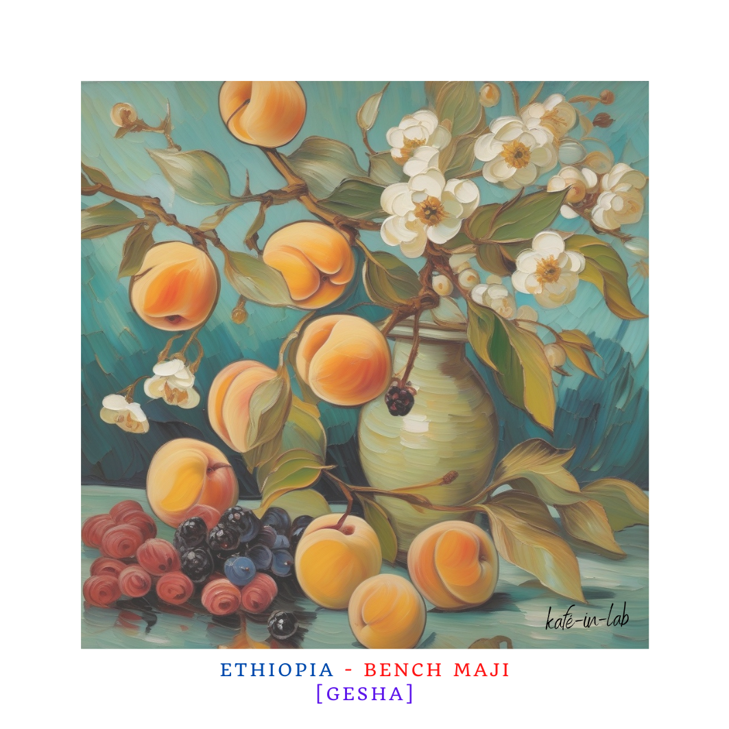 Geisha || Ethiopia, Bench Maji - 50g – kafe-in-lab